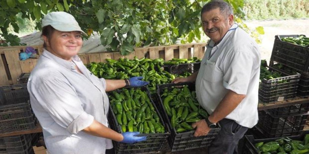 Verle color al campo en el siglo XXI